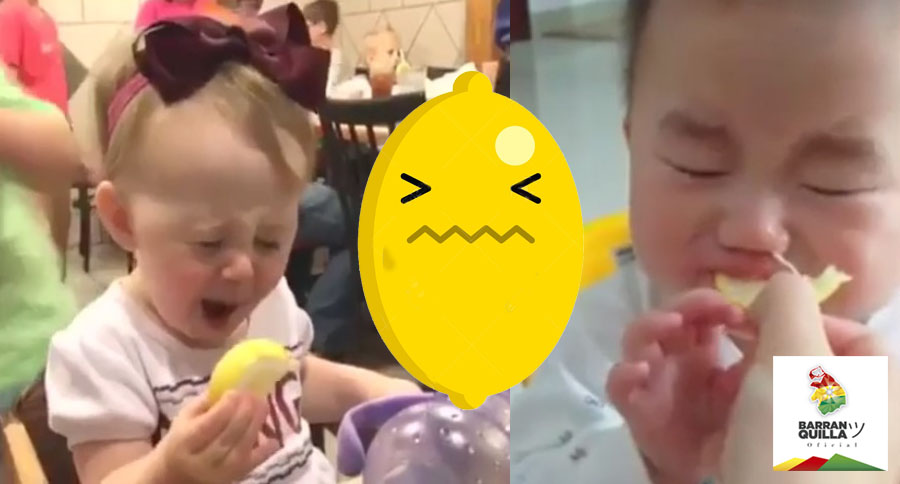 Diviértete con este video donde los bebés comen limón por primera vez